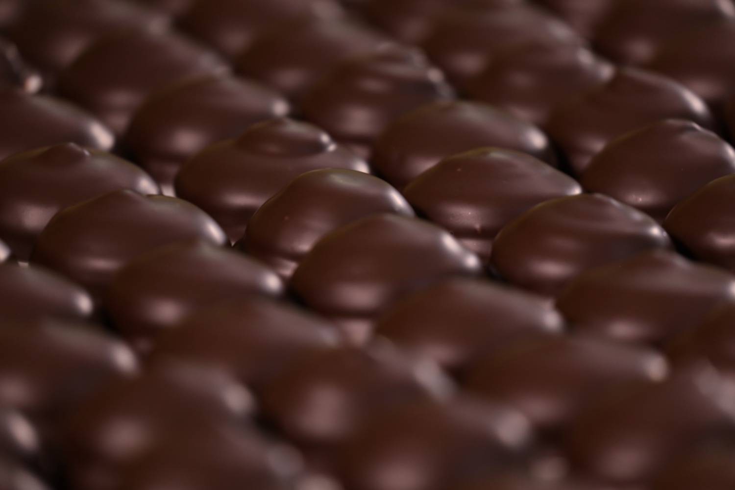 Pikito, un nuevo producto de El Ceibo