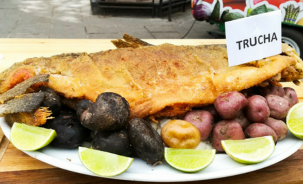 Chicharrón de Trucha - Red Uno de Bolivia