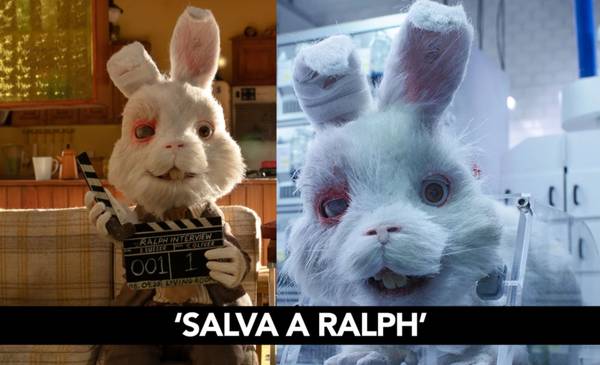 El triste video de Ralph, el conejo que retrata la crueldad del testeo ...