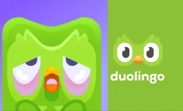 ¿Qué le pasó a Duolingo? - Red Uno de Bolivia