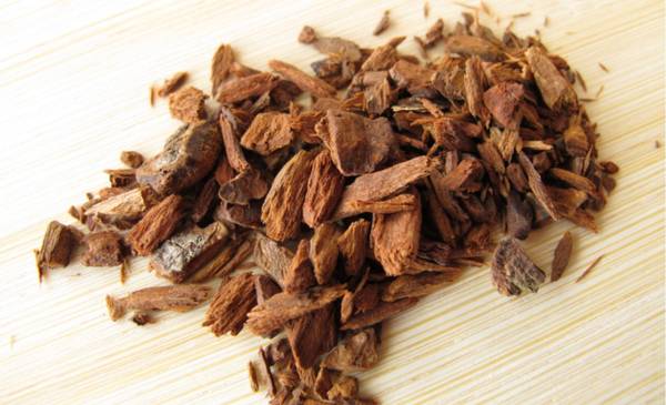 Conoce los usos de la Quina Quina para beneficiar tu salud en estos ...