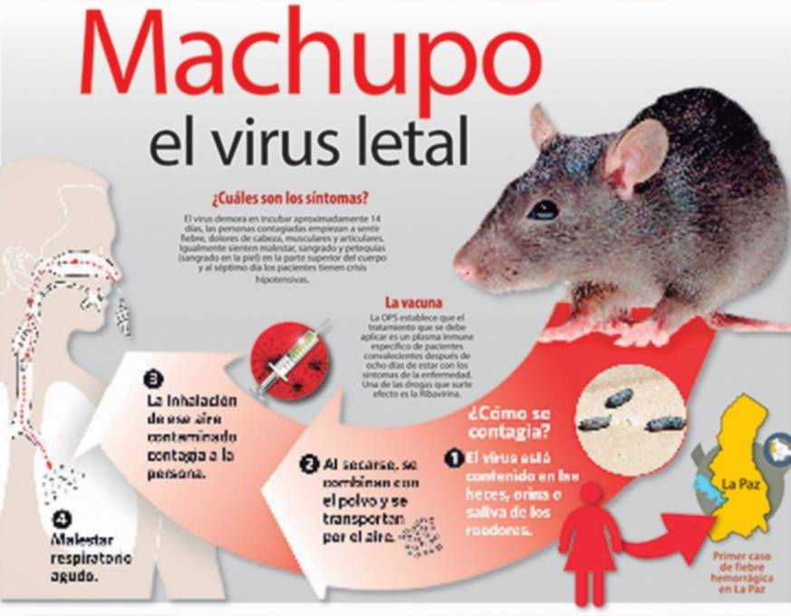 Como prevenir el virus Machupo