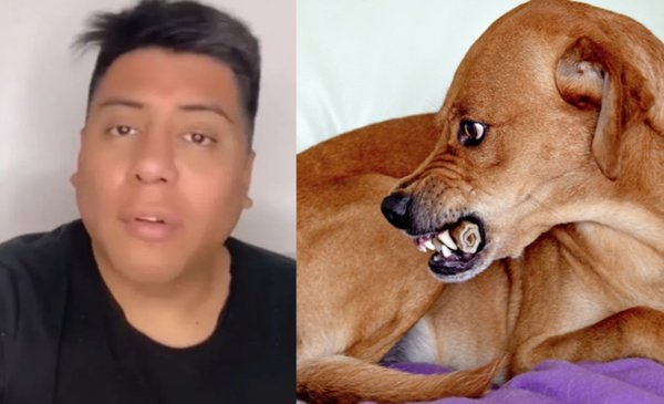 Mariano De la Canal dejó de ser vegano porque lo mordió un perro - Red ... Mariano De la Canal dejó de ser vegano porque lo mordió un perro - Red ...